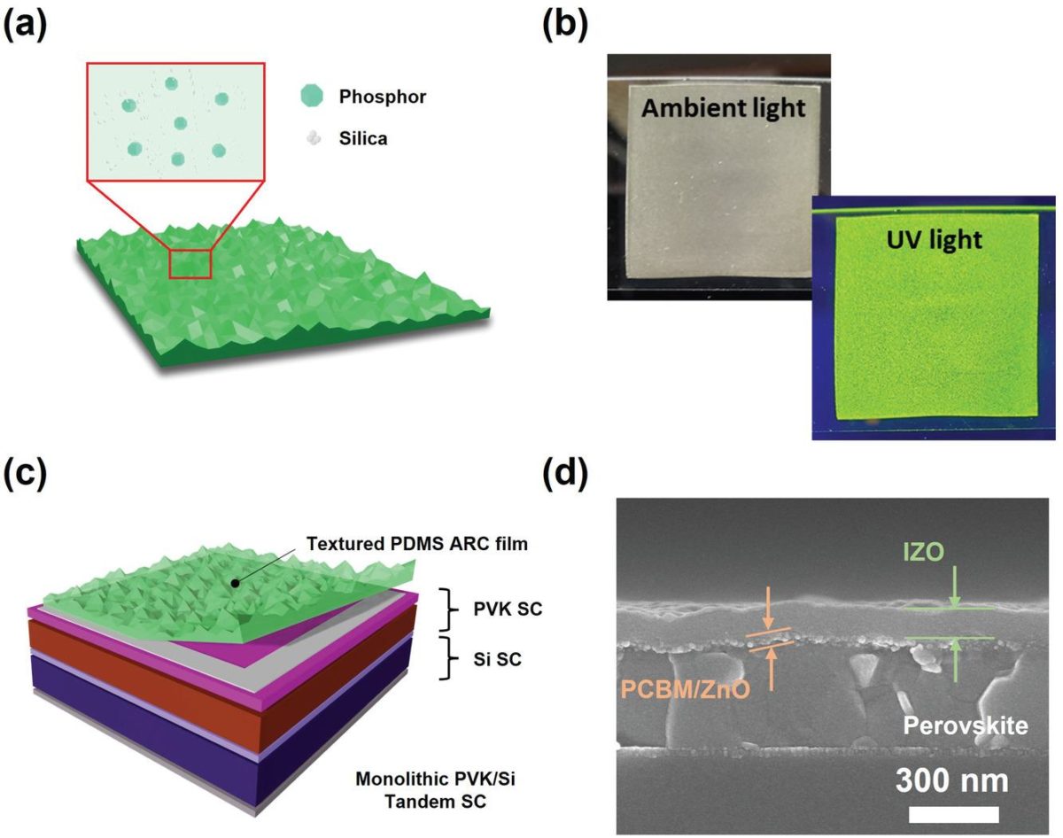 Une cellule solaire tandem pérovskite-silicium d’un rendement de 23,5 % ...