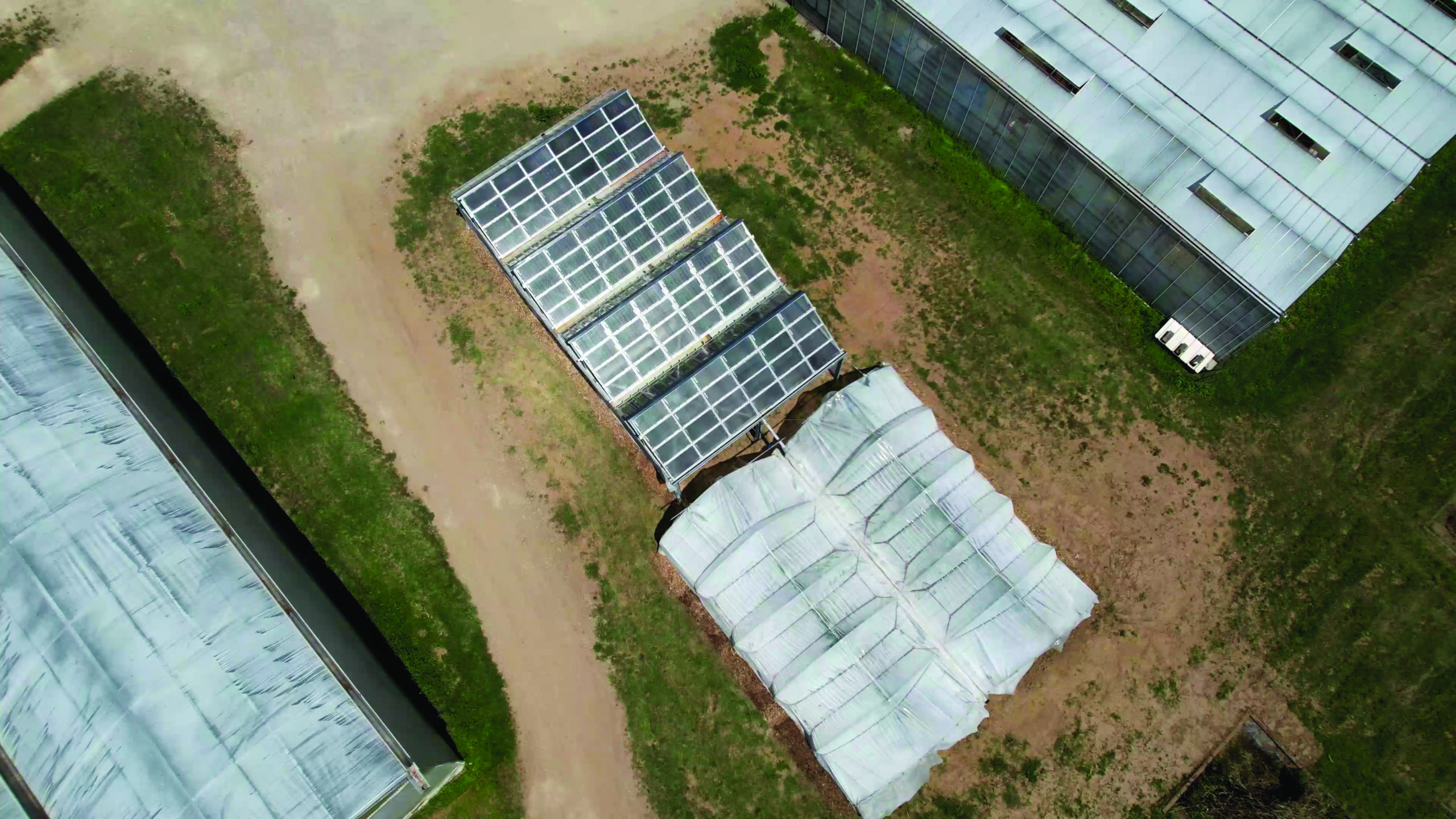 Insolight mène un projet agrivoltaïque pilote sur une culture de ...