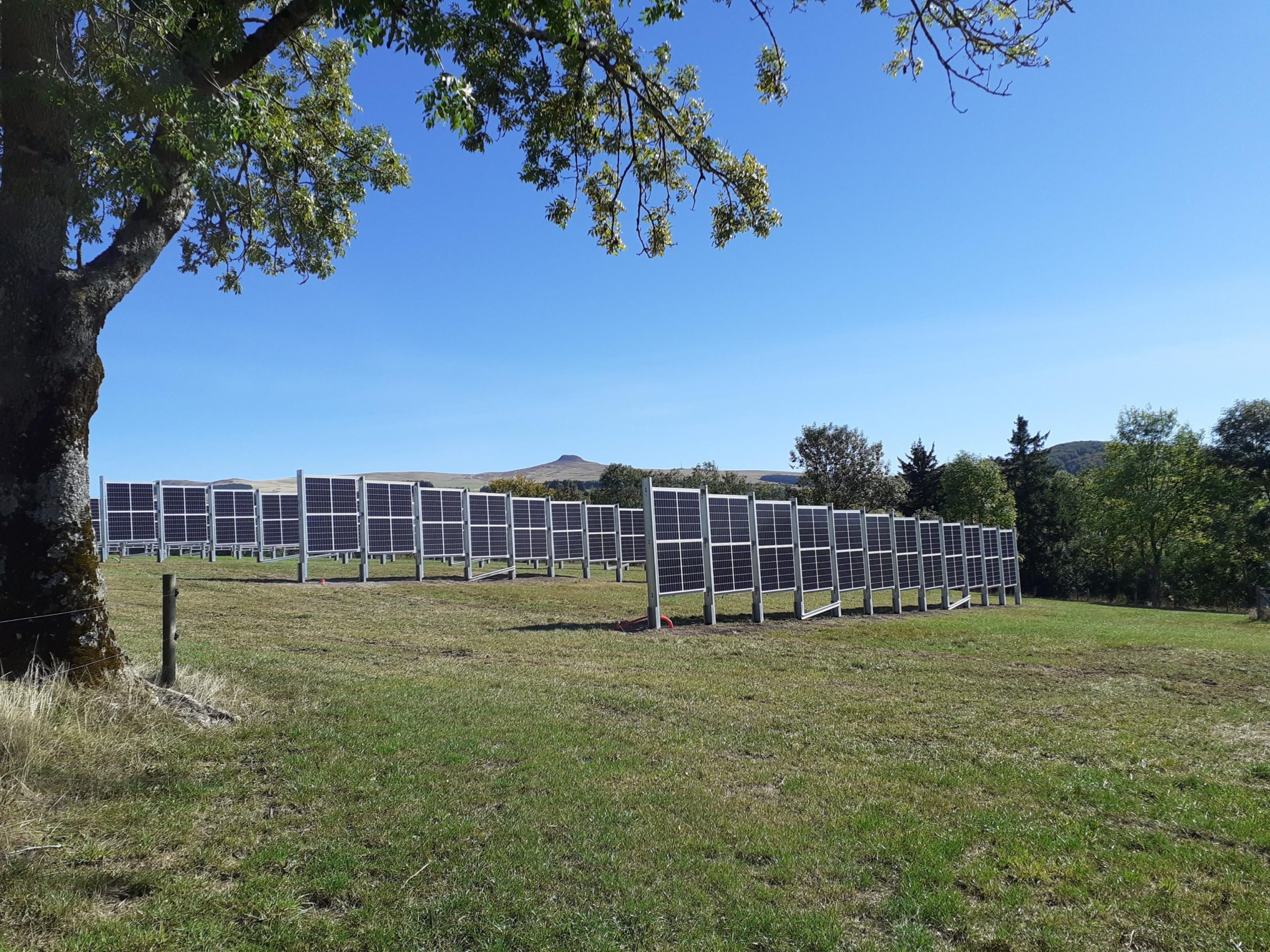 Engie Green et l’INRAE inaugurent leur démonstrateur agrivoltaïque ...