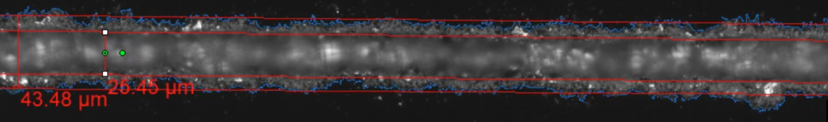 CEA-INES reduces silver consumption in M2 heterojunction solar cell ...