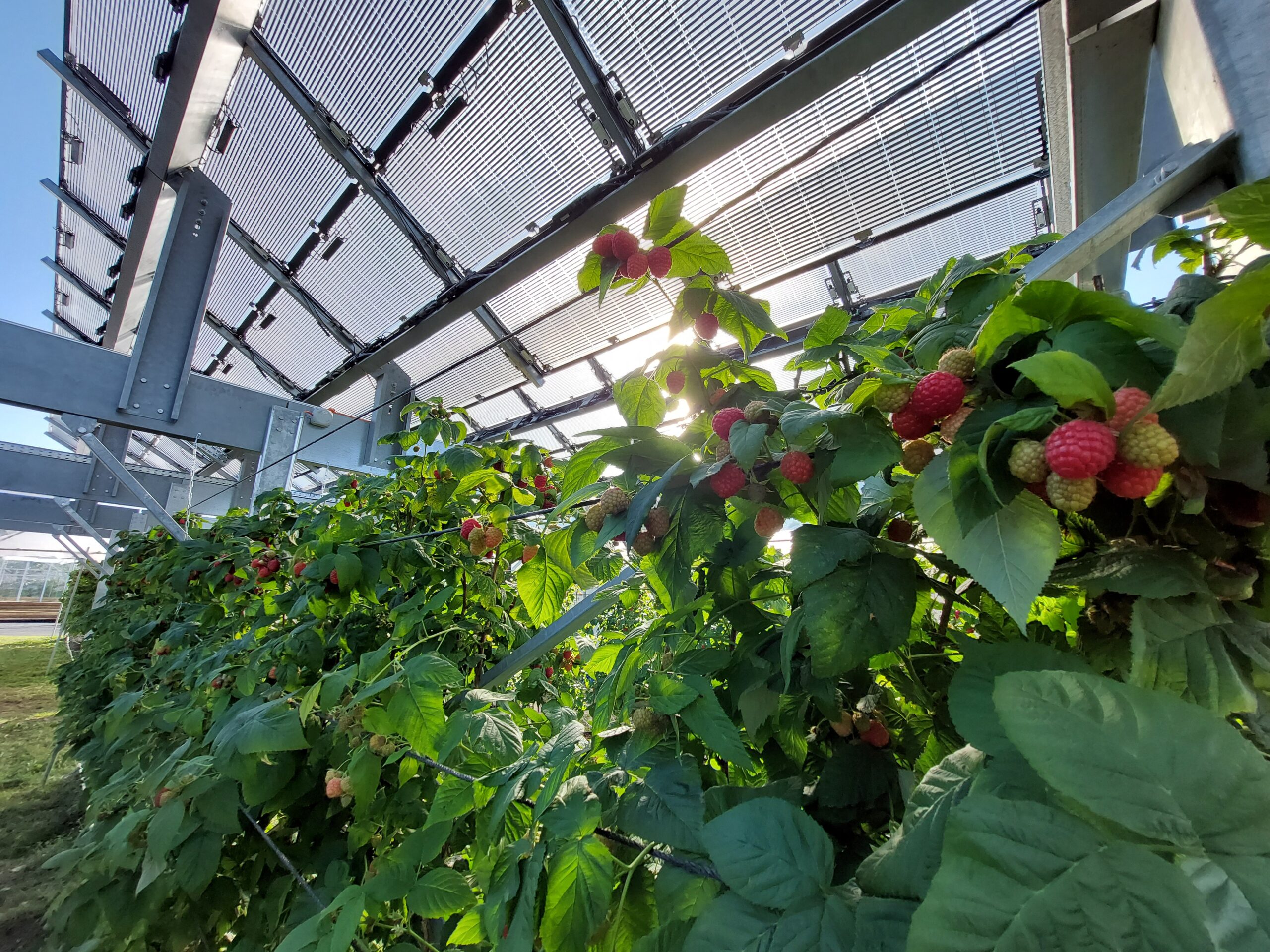 Le Suisse Insolight publie les premiers résultats de son démonstrateur ...